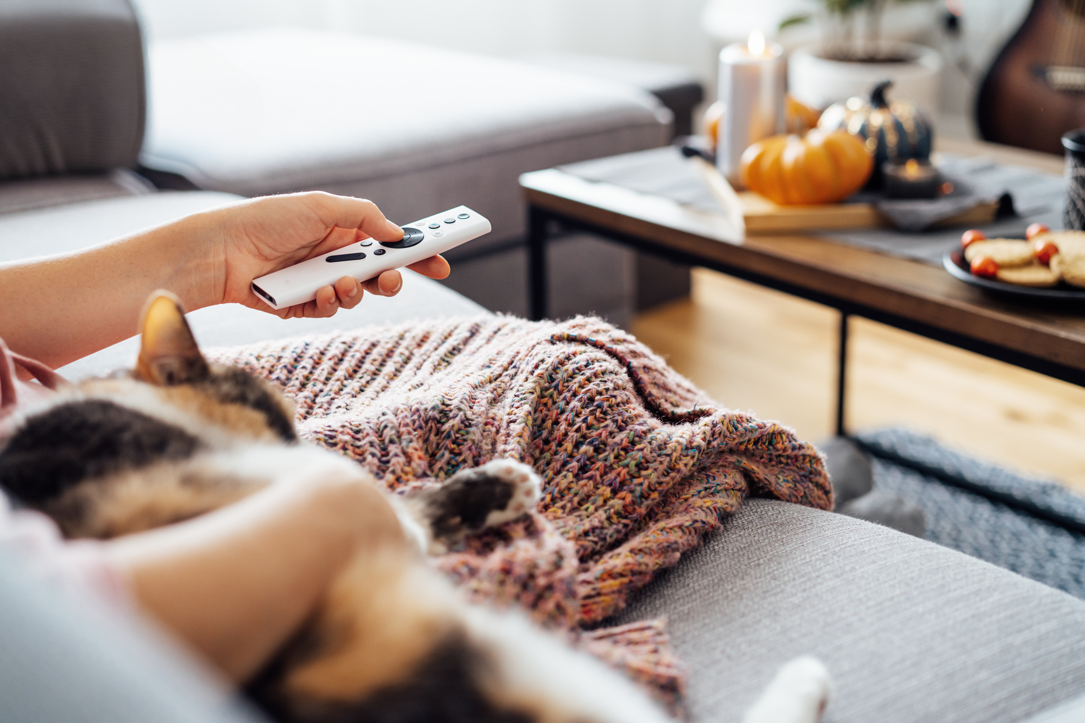 Let's Get Cozy! - The Meteor